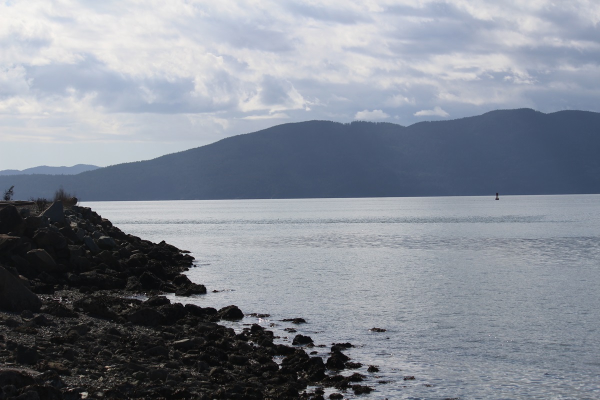 Fossil fuel divestment study resources | ResourceUMC