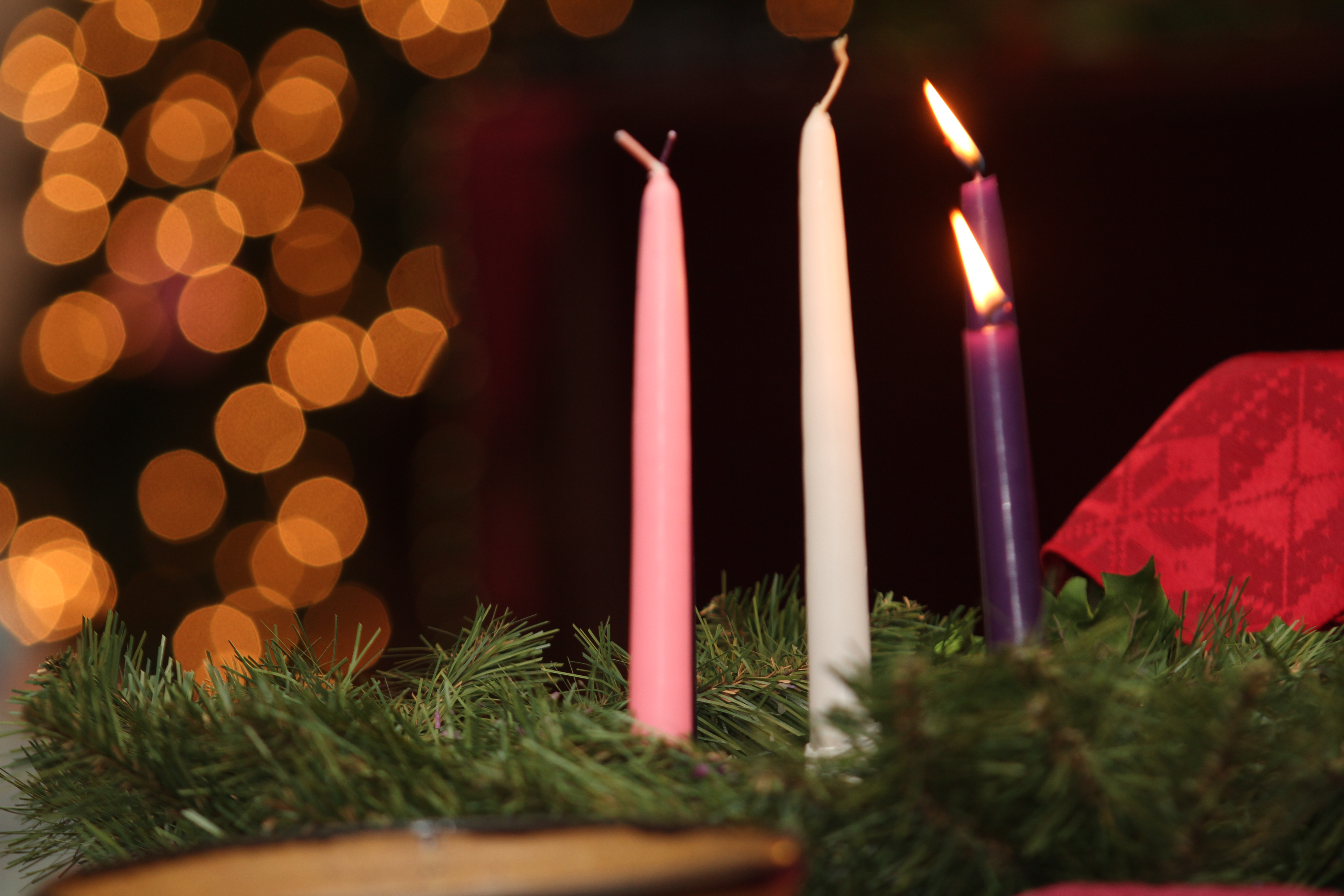 Books and studies for Advent