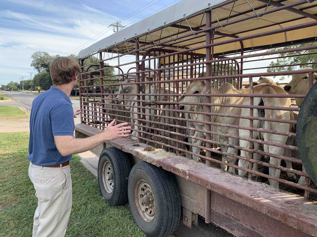 Holy cow! Praying over dogs, cats and cattle