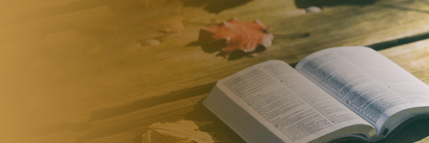 ResourceUMC | ResourceUMC